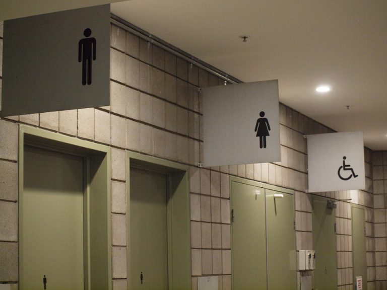 A Libertarian Perspective On Gendered Bathroom Segregation - The ...