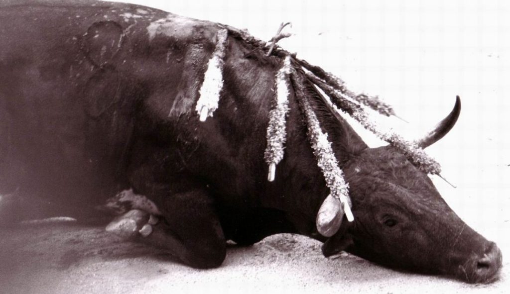 Bullfighting: Moral Good or Unnecessary Cruelty? - The Prindle ...