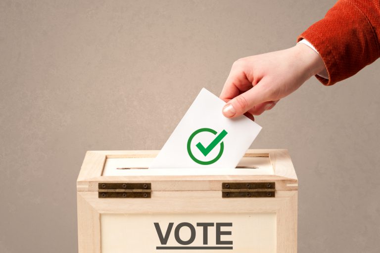 What Is Voting? - The Prindle Institute for Ethics