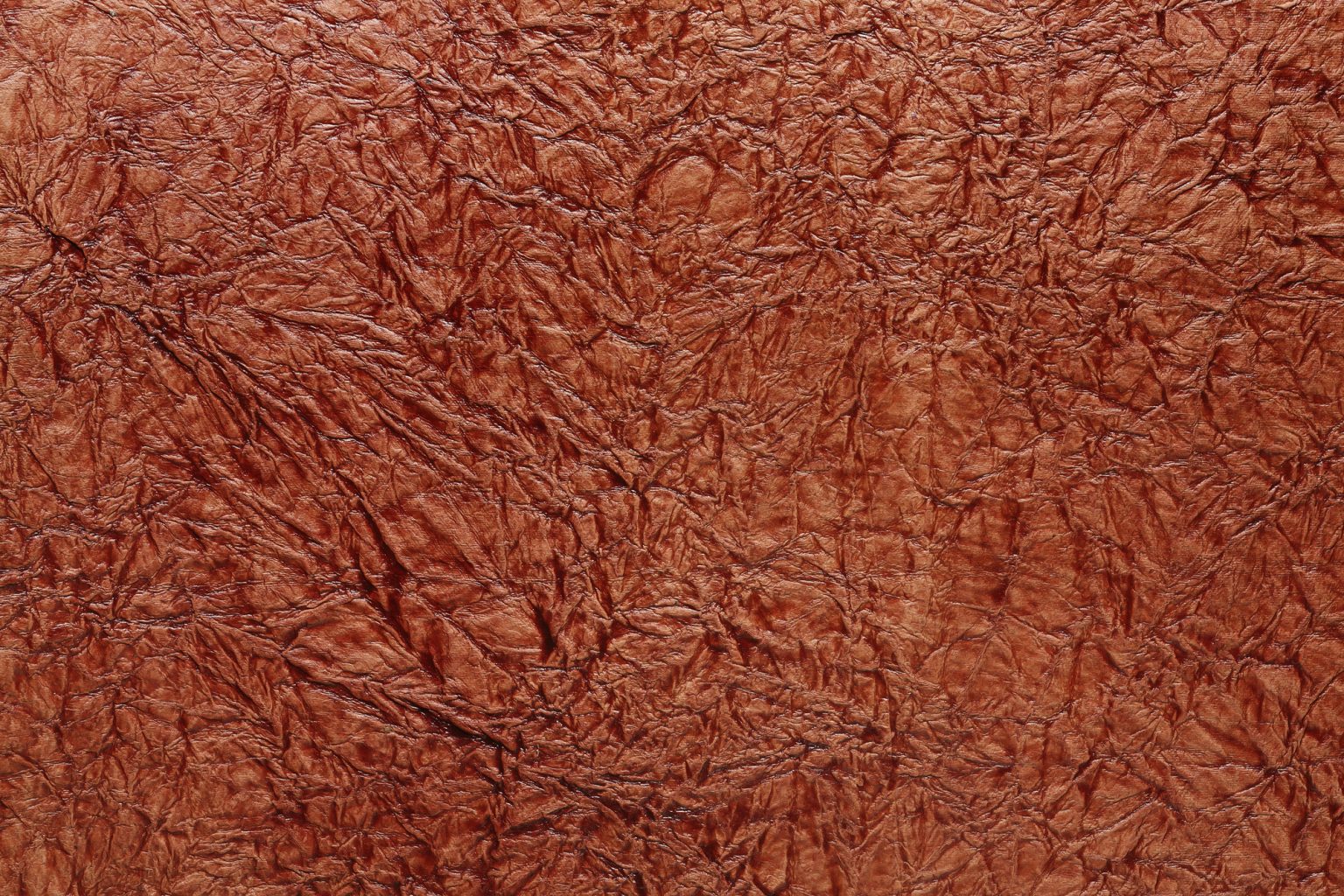 No Fit Place: On Books Bound in Human Skin - Prindle Institute