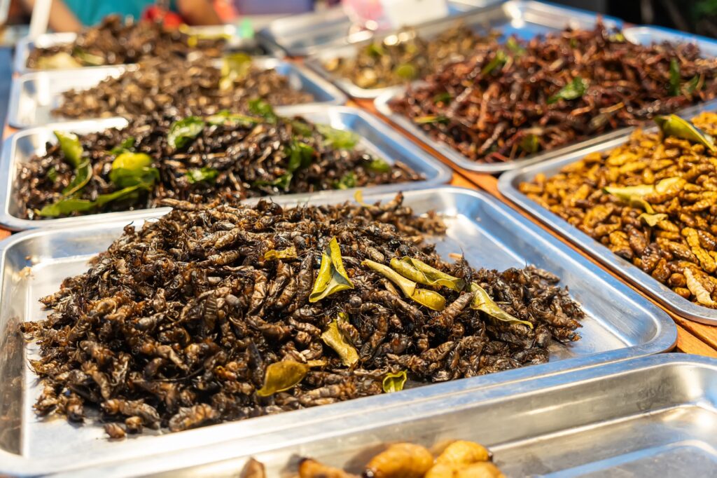 Insects on the Menu: The Class Divide in Sustainable Protein - The ...