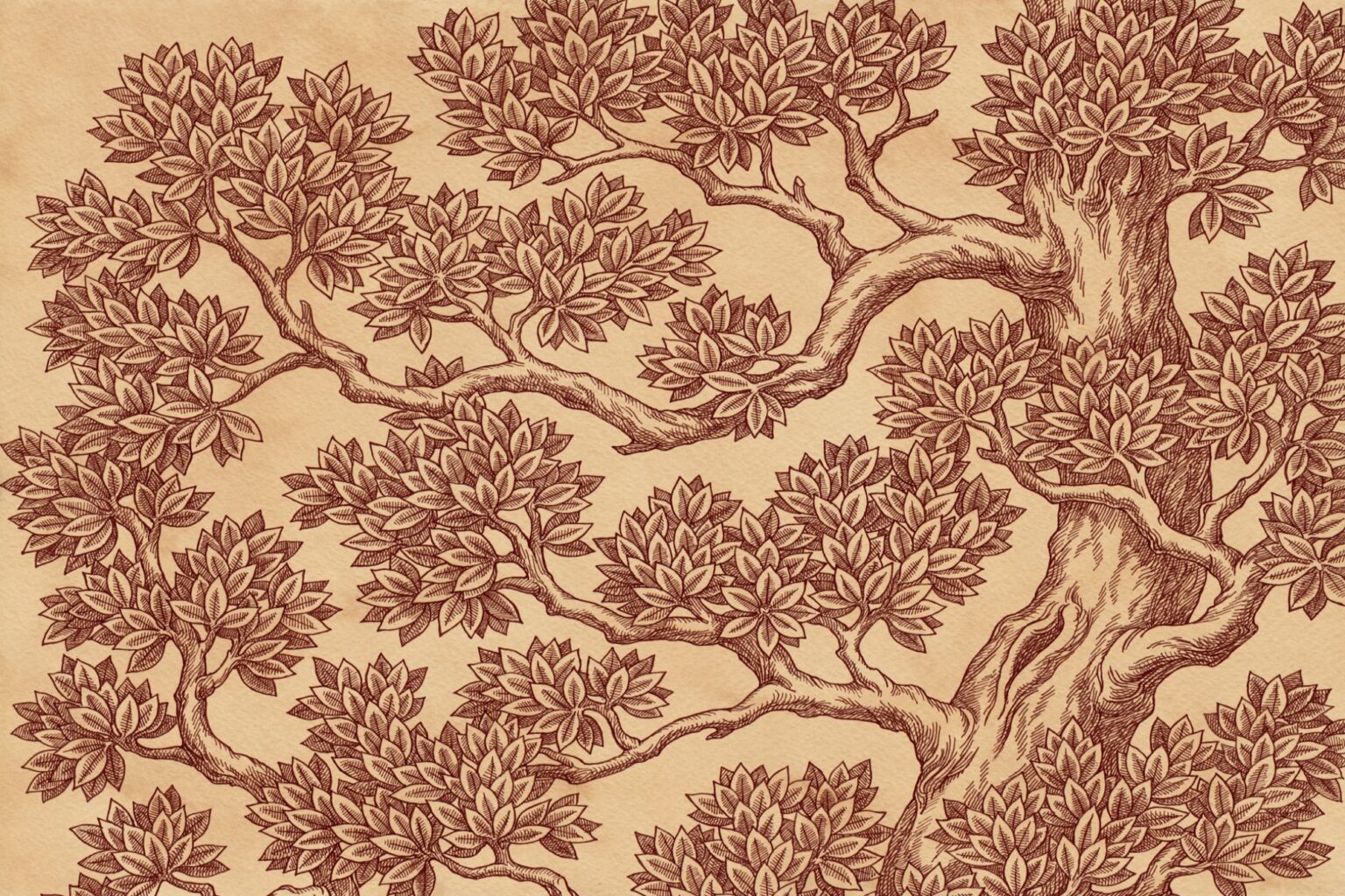 SpaceX and the Ethics of Space Travel - The Prindle Institute for Ethics